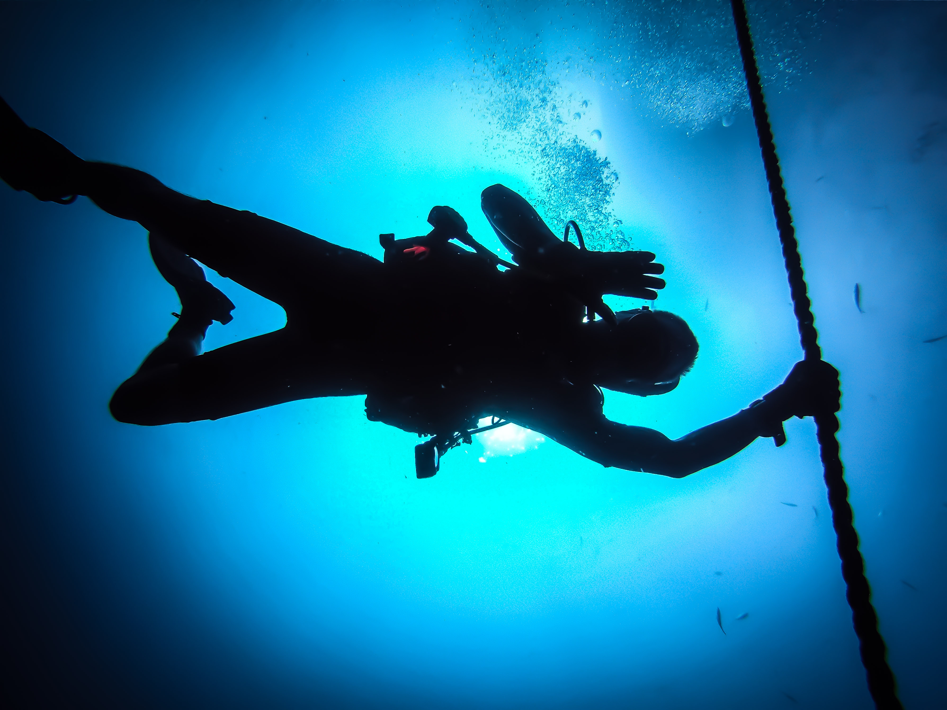 Salt Life in the FLORIDA KEYS – Wandering Mandy
